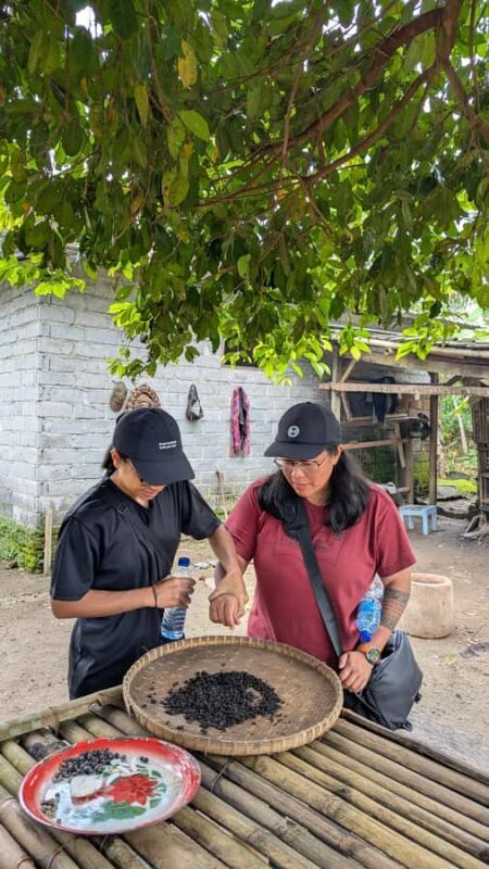 Lombok: Waterfall & Rice Field with Coffee Roasting - The Sum Up: Who Will Love This Tour?
