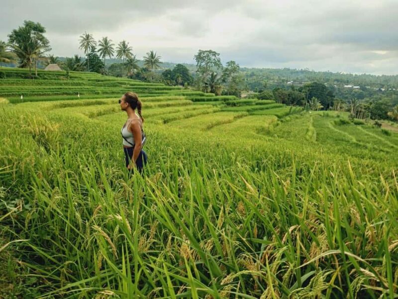 Lombok: Waterfalls, Sasak Village, Rice Field & Selong Hill - FAQ