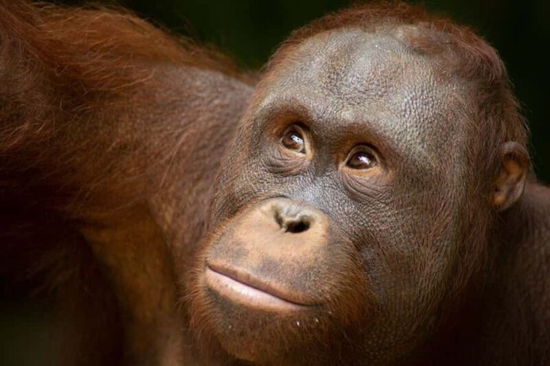 Lombok Wildlife Park: Admission Ticket - Key Points