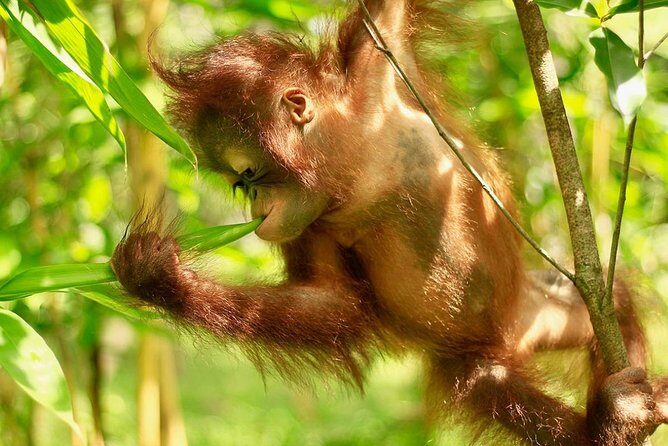 Lombok Wildlife Park Skip the Line Ticket - Why You Should Consider Visiting Lombok Wildlife Park