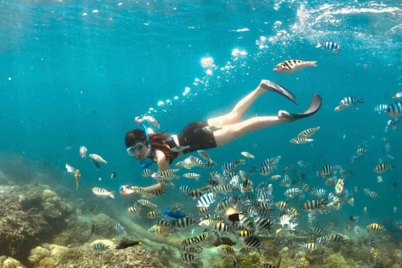 Lombok:Private Snorkeling Gili Nanggu,Gili Kedis,Gili Sudak - Practical Considerations