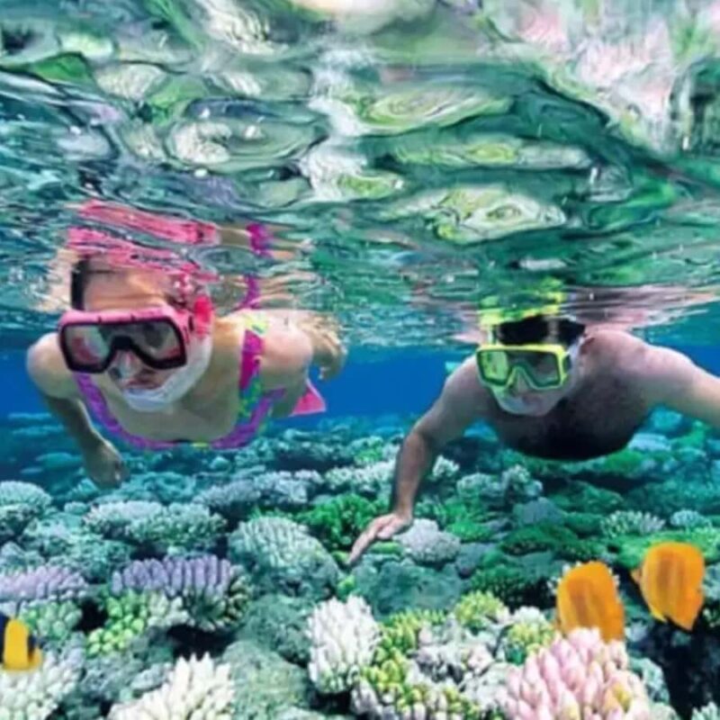 Lomboks Hidden Gems: Snorkeling Gili Kondo & Petagan - A Closer Look at the Tour Experience