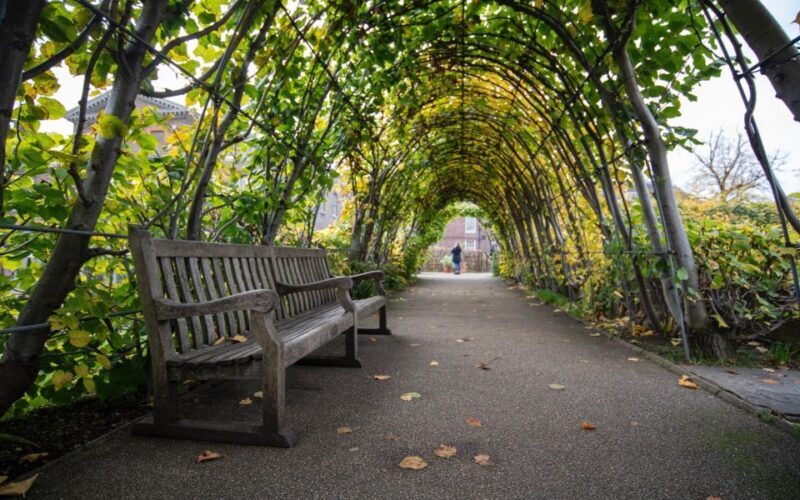 London Afternoon Tea, Fast-Track Kensington Palace Tickets - Final Thoughts