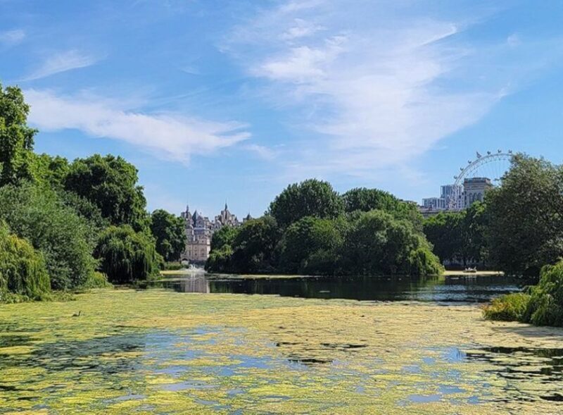 London: Buckingham, Big Ben & Westminster Abbey Tour - Introduction: Why This Tour Is Worth Considering