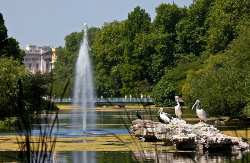 London: Buckingham Palace State Rooms & Royal Walking Tour - Final Thoughts