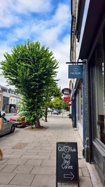 London Cat Cafe: Cat Lounge Entry Ticket - FAQ