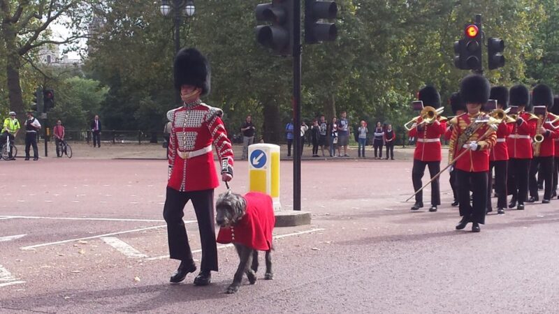 London: Changing of the Guard Walking Tour - Practical Details and Tips