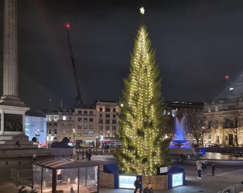 London: Christmas Lights Guided Walking Tour - Practical Tips for Participants