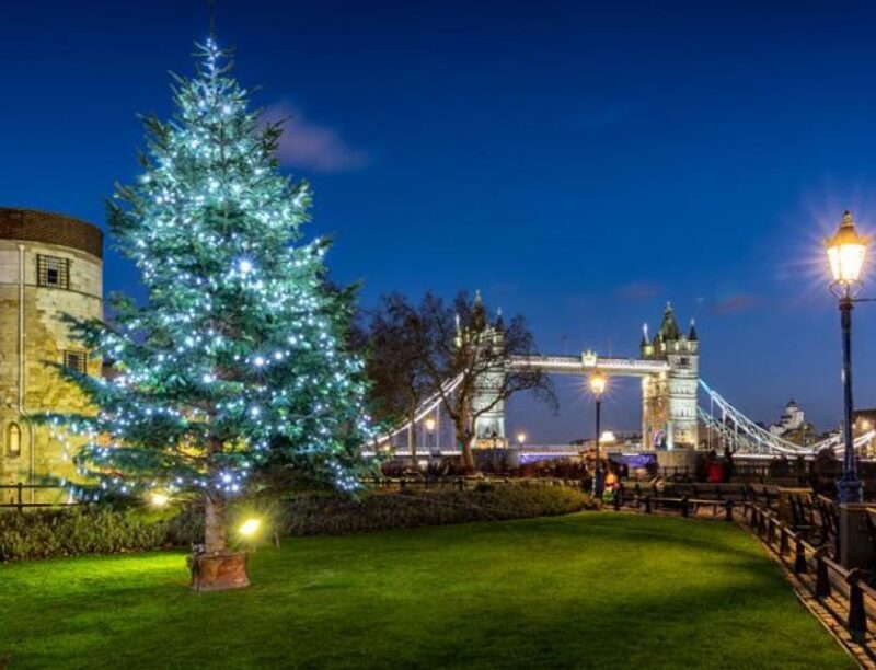 London: Christmas Lights Nighttime Bus Tour with Live Guide - Key Points