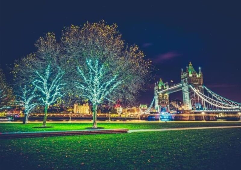 London: Christmas Lights Private Taxi Tour - The Sum Up