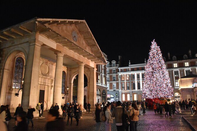 London Christmas Lights Private Walking Tour - Who Might Not Find This Tour Ideal?