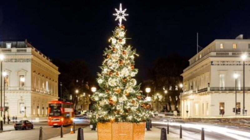 London: Christmas Lights Tour, Mince Pies, & Festive Drinks - The Sum Up