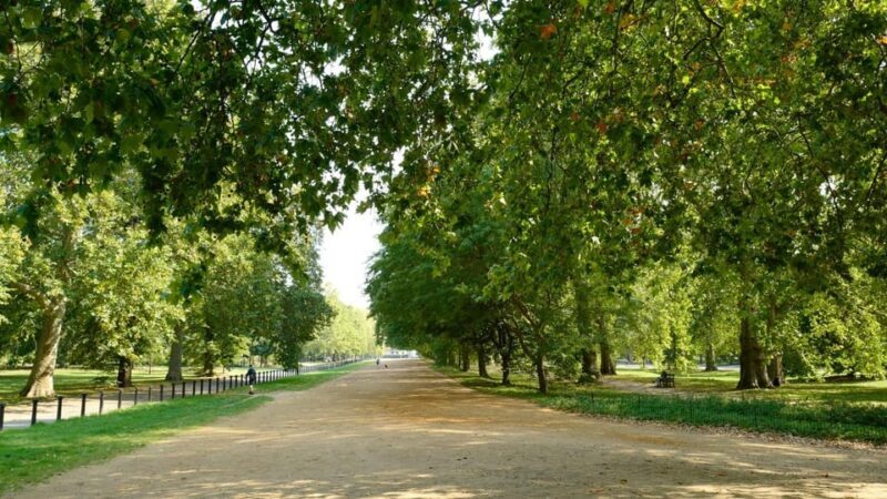 London: Discover Pass with HOHO Bus Tours, Cruise and Walks - Final Thoughts on the Discover Pass
