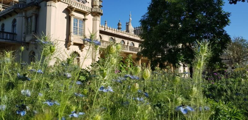 London: Guided Day Trip to Brighton and Seven Sisters - Introduction: Who Is This Tour For?