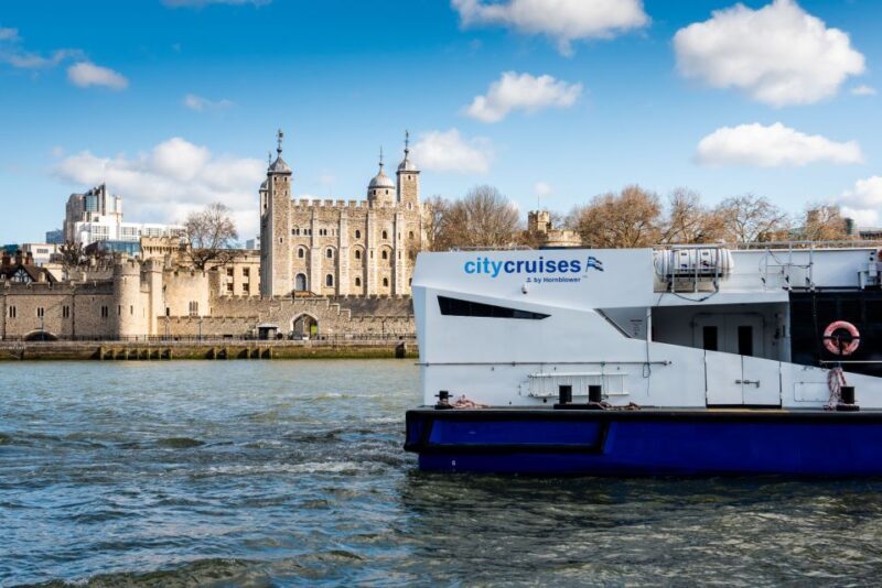 London: Harry Potter Walk, Hop-on Hop-off Bus Tour & Cruise - Key Points