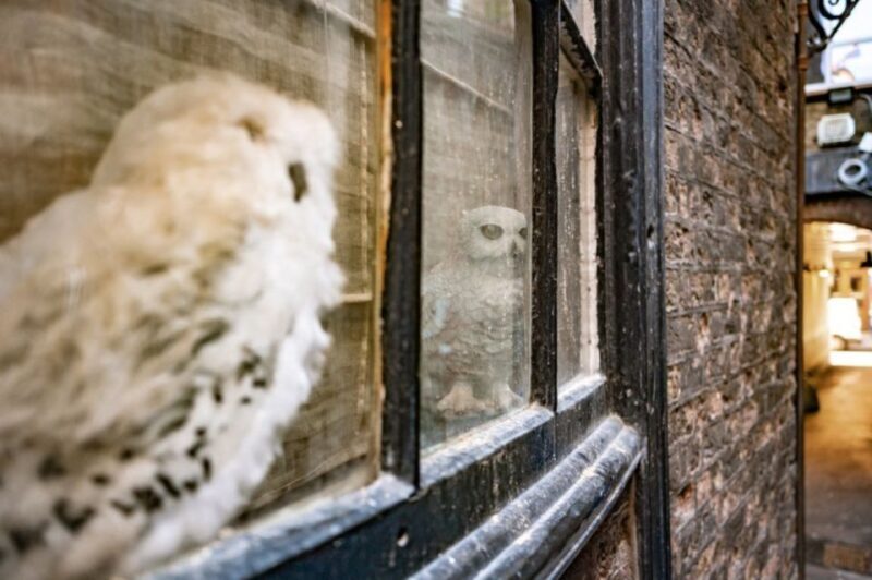 London: Harry Potter Walk, Hop-on Hop-off Bus Tour & Cruise - Exploring the Magical London Experience