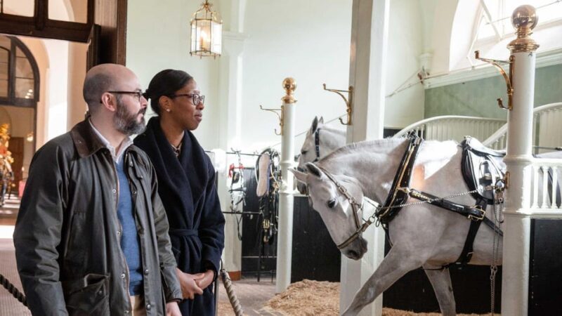 London Highlights Tour & Buckingham Palace Royal Mews Ticket - The Sum Up
