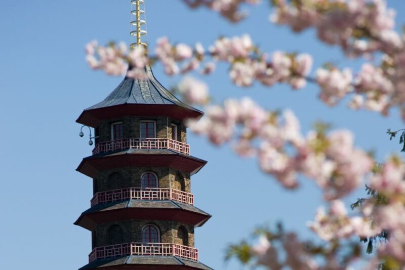 London: Kew Gardens Admission Ticket - A Deep Dive into Kew Gardens: What You Can Expect