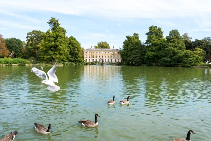 London: Kew Gardens Admission Ticket - Should You Visit Kew Gardens?