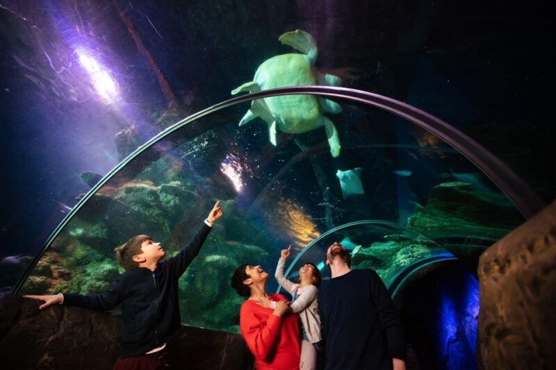 London: Madame Tussauds, London Eye & SEA LIFE Combo Ticket - The Sum Up