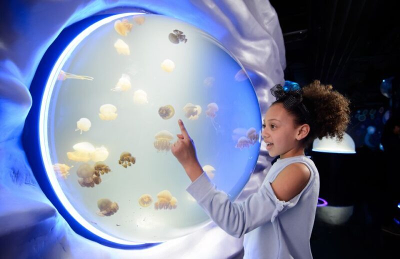 London: Madame Tussauds, SEA LIFE and London Dungeon Entry - What Makes This Tour Stand Out?