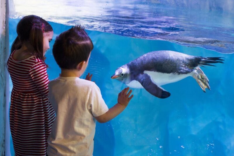 London: Madame Tussauds, SEA LIFE and London Dungeon Entry - Who Should Consider This Experience?