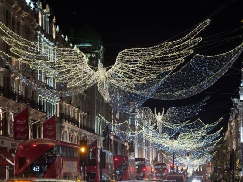 London: Magical Christmas Lights Guided Tour by Private Taxi - Who Will Love This Tour?