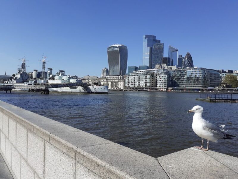 London: Medieval History Walking Tour from The Tower - Who Will Love This Tour?