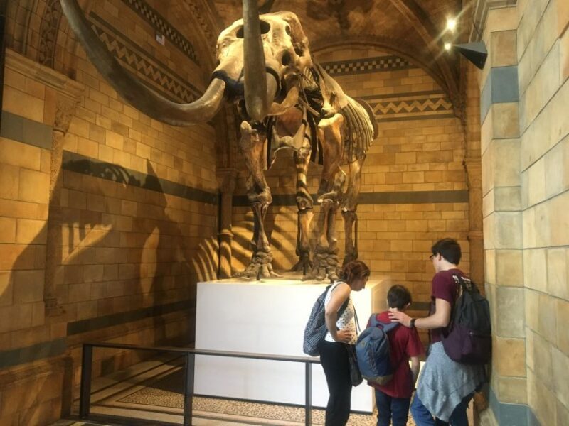 London: Natural History Museum Entry Ticket and Guided Tour - Exploring the London Natural History Museum Guided Tour: A Deep Dive into Natures Wonders