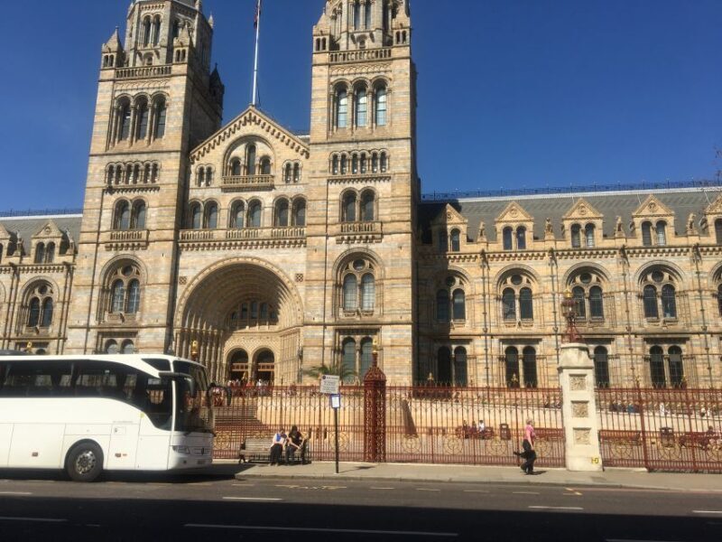 London: Natural History Museum Entry Ticket and Guided Tour - A Complete Breakdown of the Experience