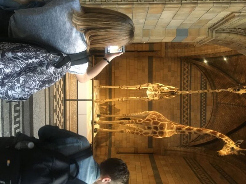 London: Natural History Museum Entry Ticket and Guided Tour - Considerations Before Booking