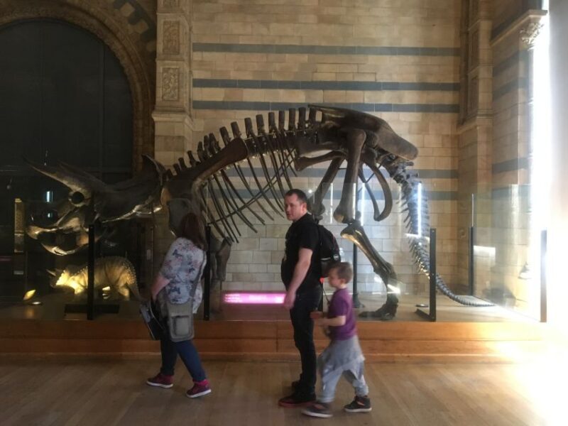 London: Natural History Museum Entry Ticket and Guided Tour - FAQs About the London Natural History Museum Guided Tour