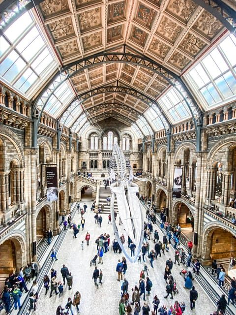 London: Natural History Museum Guided Tour - Key Points