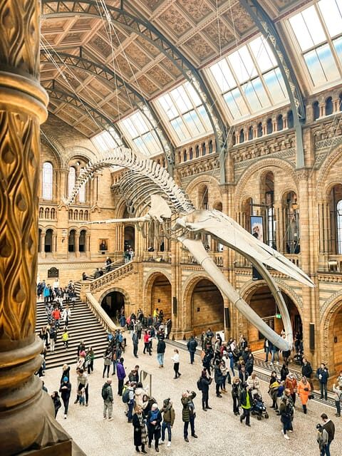 London: Natural History Museum Guided Tour - A Deep Dive into the Experience