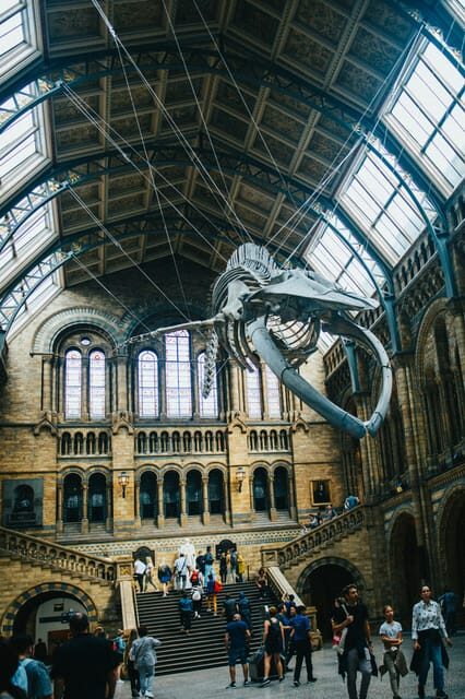London: Natural History Museum Guided Tour - Practical Tips for Booking