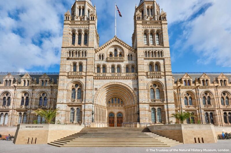 London: Natural History Museum Guided Tour & Afternoon Tea - Is It Worth the Price?