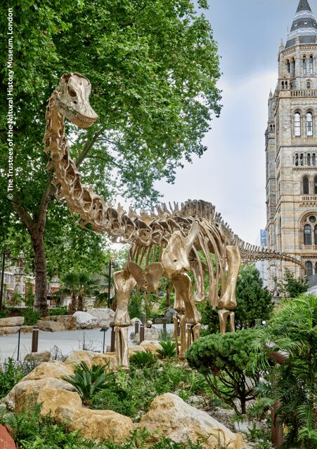 London: Natural History Museum Guided Tour & Afternoon Tea - Practical Tips for Visitors
