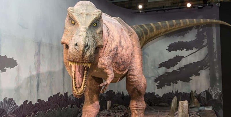 London: Natural History Museum + Guided Tour+ Priority Entry - Final Thoughts