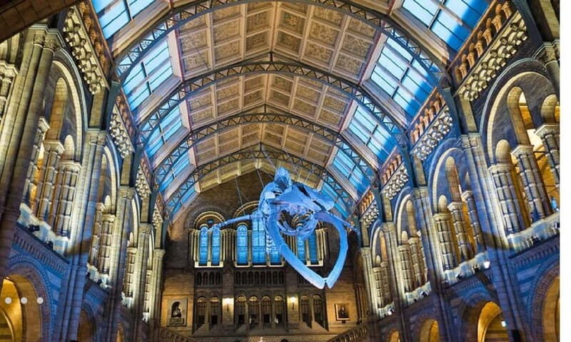 London: Natural History Museum Guided Tour - An Introduction to the Guided Experience