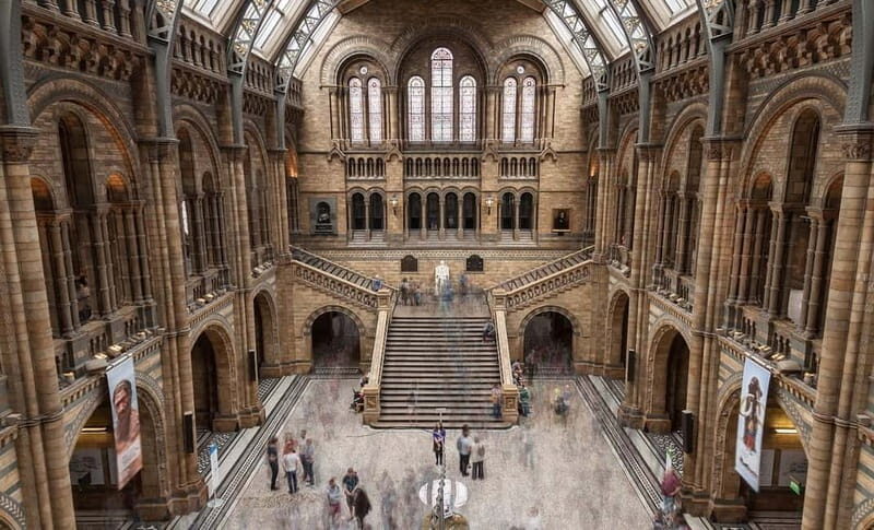 London: Natural History Museum Guided Tour - Practical Details and What to Expect