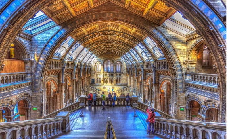 London: Natural History Museum Guided Tour - What Other Travelers Say