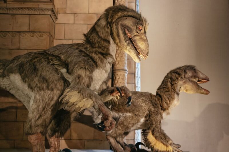 London: Natural History Museum Private Guided Family Tour - What to Expect from the Tour