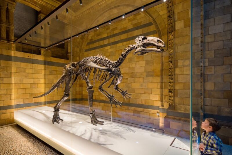 London: Natural History Museum Private Guided Family Tour - The Sum Up