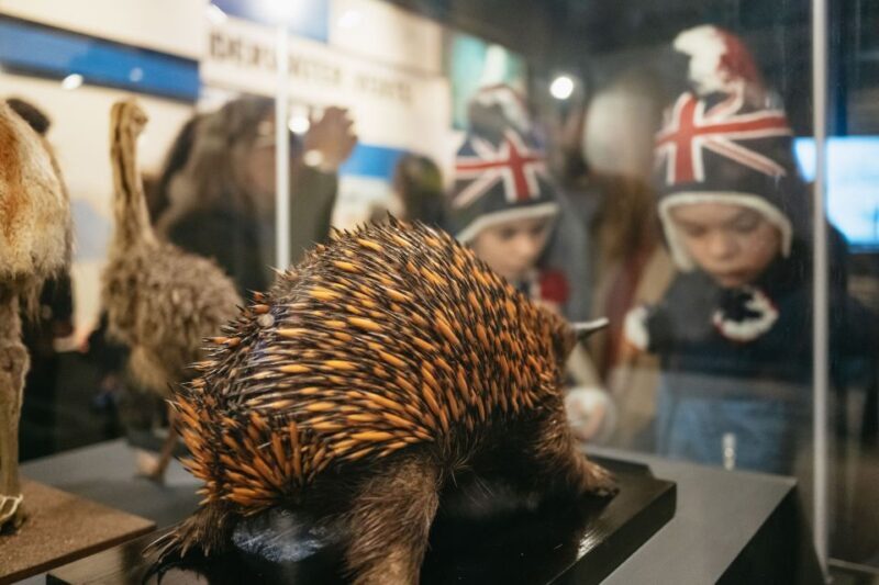 London: Natural History Museum Private Guided Family Tour - FAQs