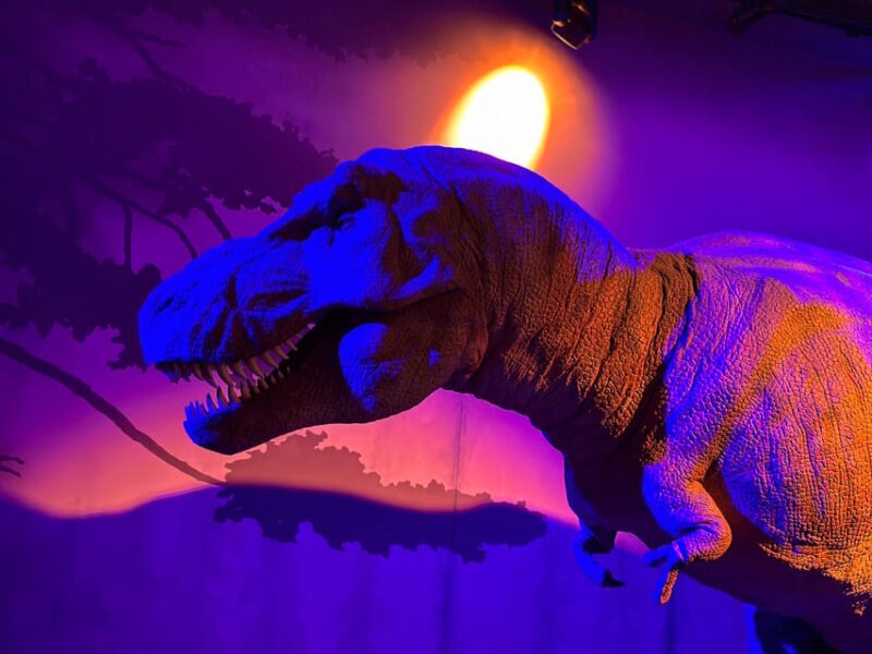 London: Natural History Museum Private Guided Tour - Key Points