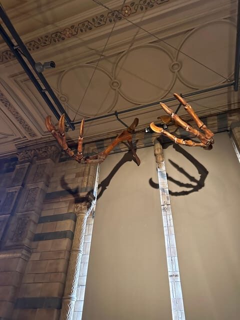 London: Natural History Museum Private Guided Tour - An In-Depth Look at the Tour Experience