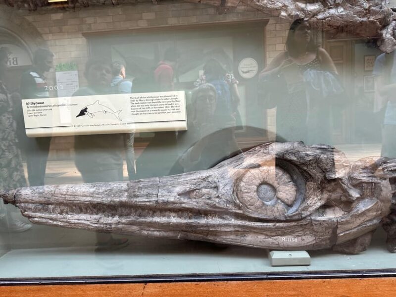 London: Natural History Museum Private Guided Tour - Final Thoughts