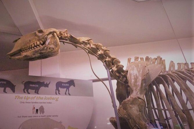 London Natural History Museum Private Tour for Kids & Families - What the Price Means for You