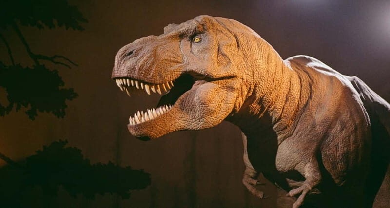 London: Natural History Museum Reserved Entry & Audio Tour - Exploring the Natural History Museum with Reserved Entry & Audio Guide