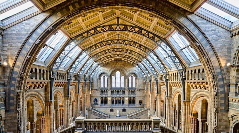 London: Natural History Museum Reserved Entry & Audio Tour - Key Points